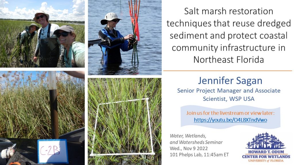 Salt marsh restoration techniques that reuse dredged sediment and ...